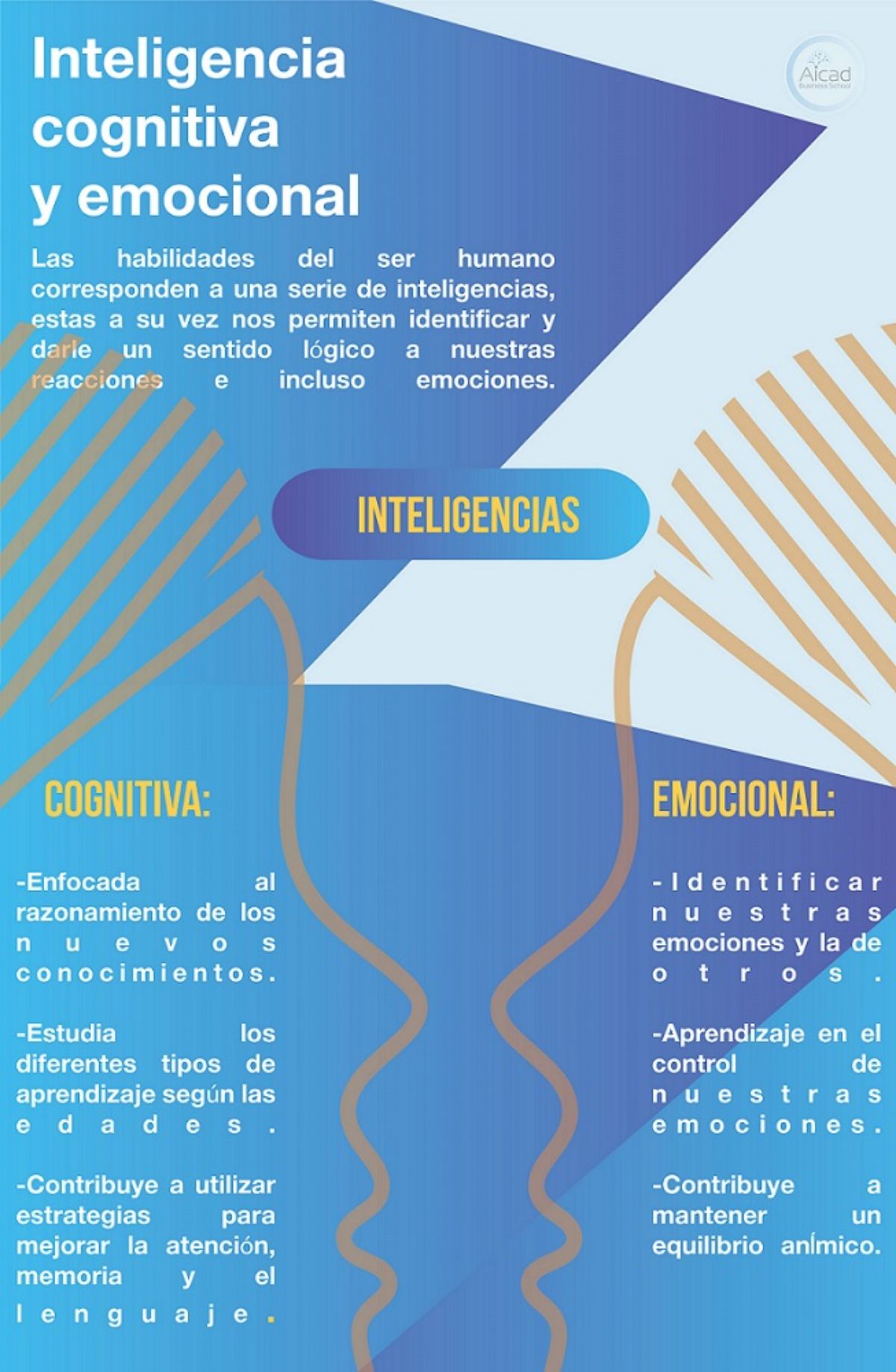 Inteligencia cognitiva y emocional: concepto, tips y beneficios | Aicad